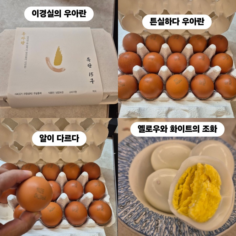 "이경실의 '우아란' 진짜 달걀 중에 여왕?"…조혜련 글 논란ing [핫토PICK]-pickcon